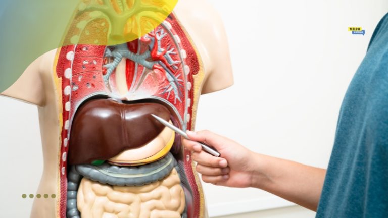 Curiosidades Corpo Humano 5 Fatos Surpreendentes!